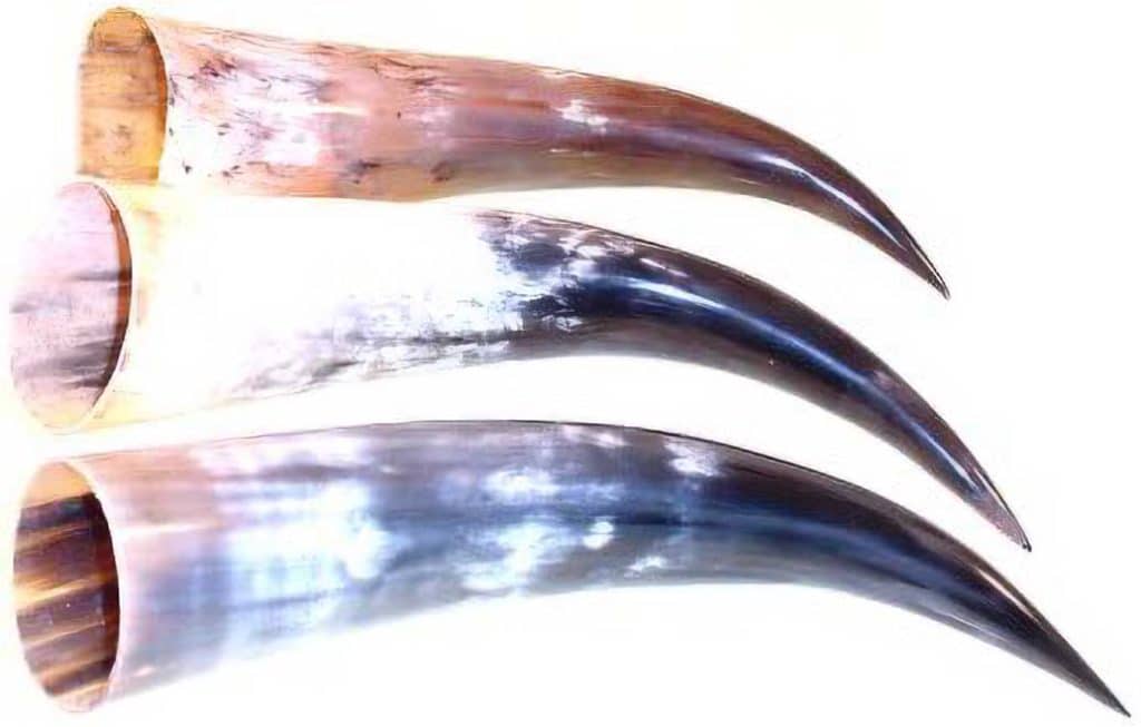 Blank Horn - Multi-Color - 15 to 18in - The Gun Works Muzzleloading ...